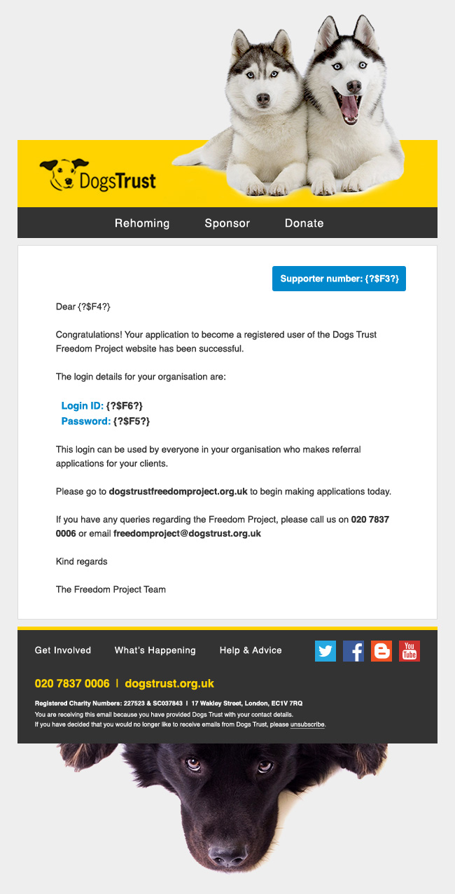 display block | Email Designs